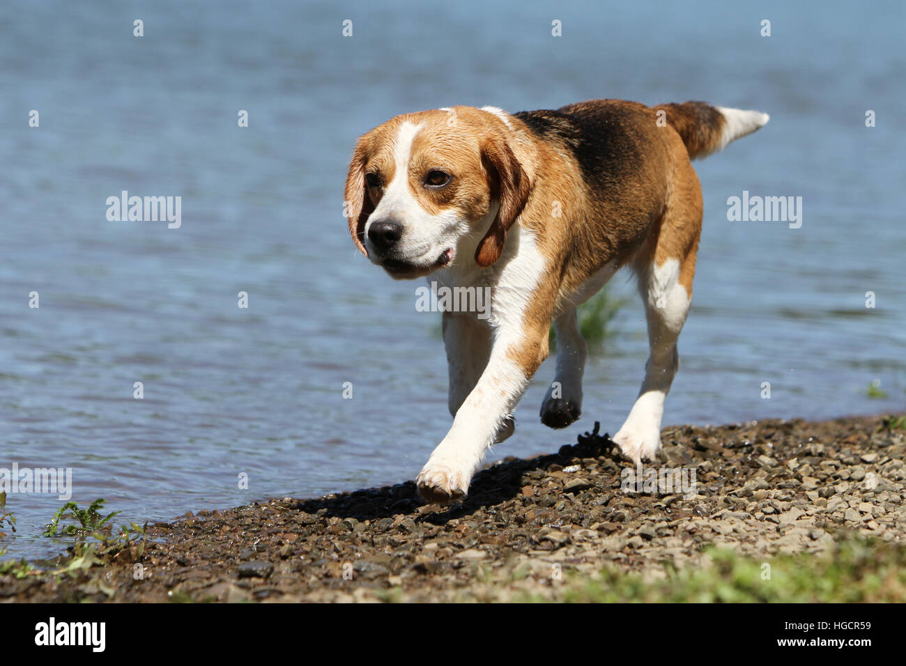 Edge Detection High Resolution Stock Photography and Images - Alamy