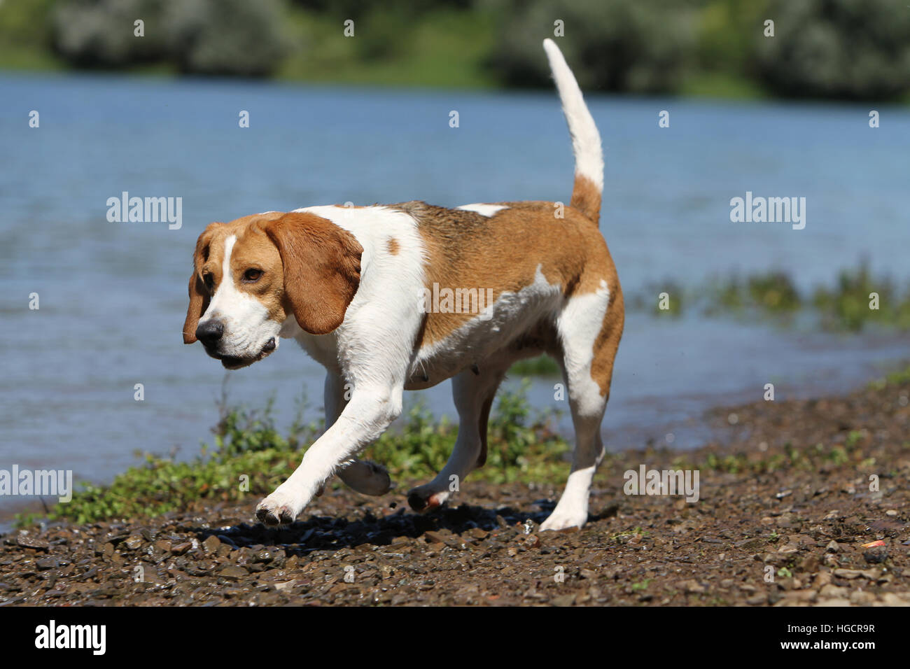 Edge Detection High Resolution Stock Photography and Images - Alamy