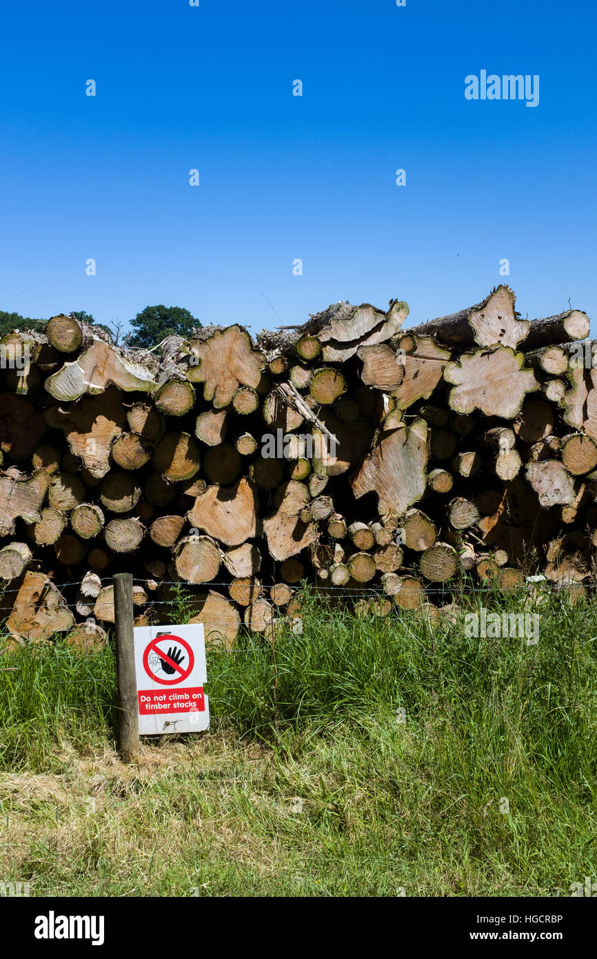 Wood pile or timber stack Stock Photo - Alamy