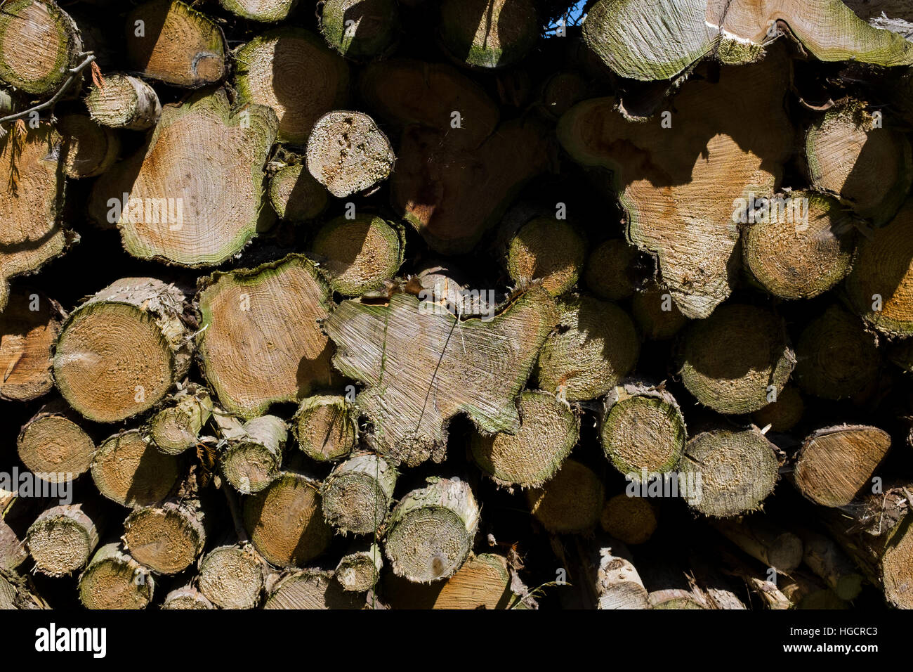 Timber stack hi-res stock photography and images - Alamy