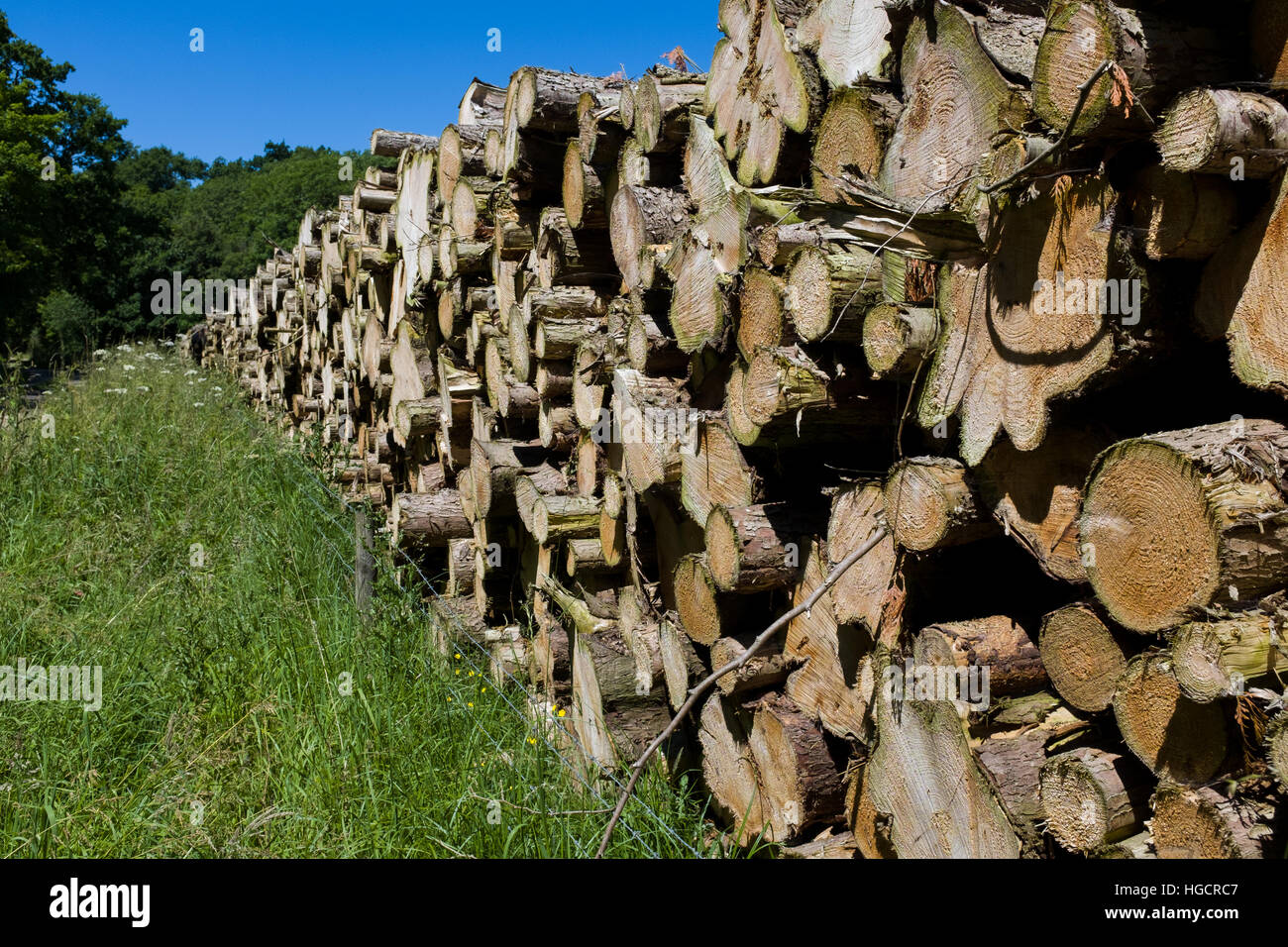 Pile of timber hi-res stock photography and images - Alamy