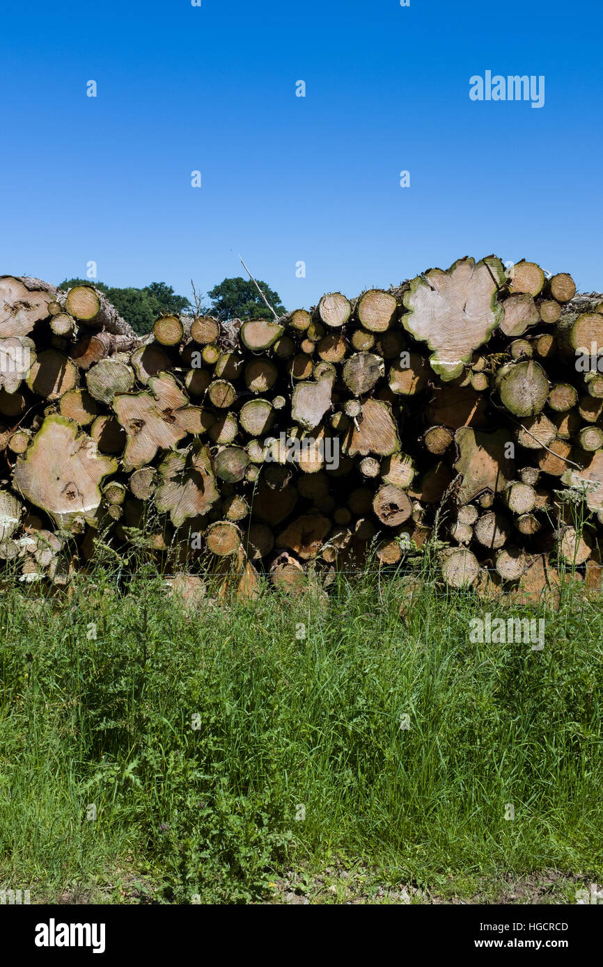 Wood pile or timber stack Stock Photo - Alamy