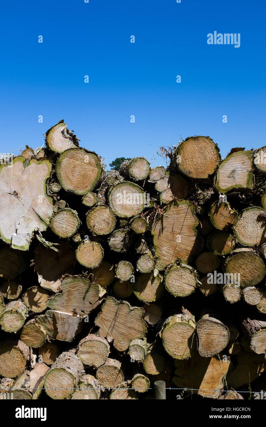 Pile of timber hi-res stock photography and images - Alamy