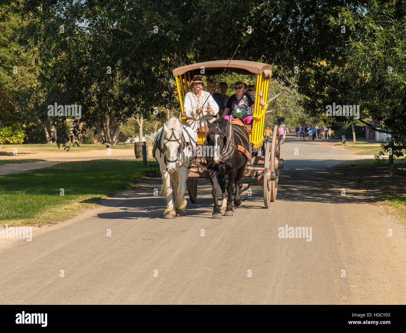 Carriage and horses colonial williamsburg virginia hi-res stock ...