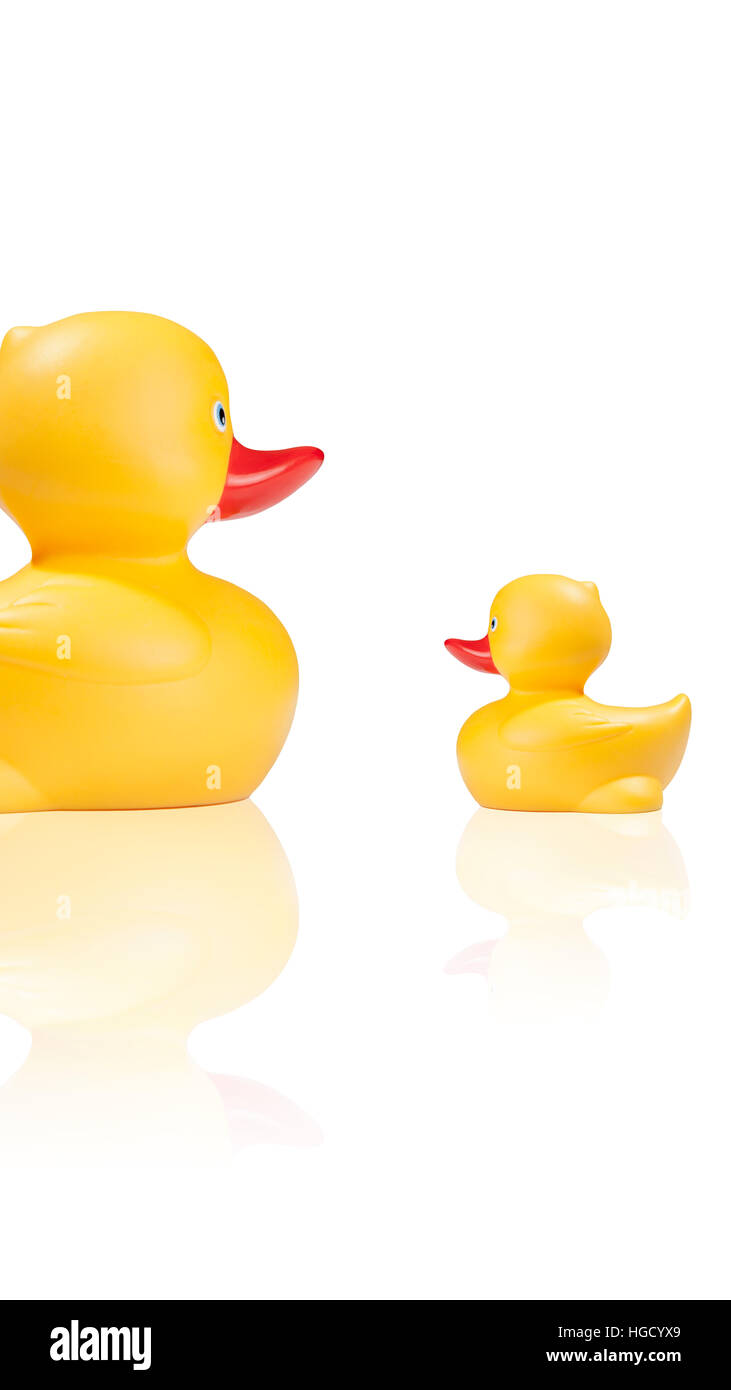 yellow duck composition, concept background Stock Photo - Alamy
