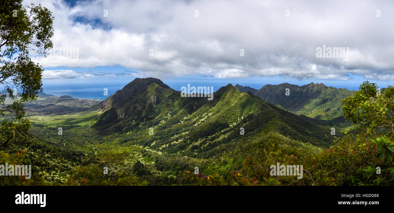 This is a panoramic shot from the top of Ka'Ala, the tallest peak of ...