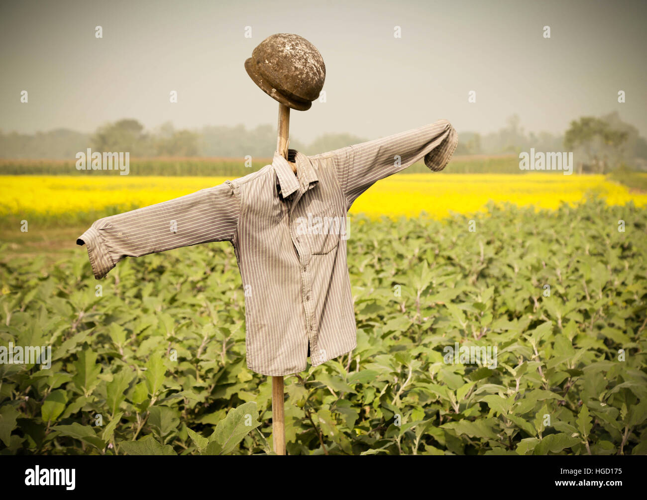 Rural bangladesh hi-res stock photography and images - Alamy