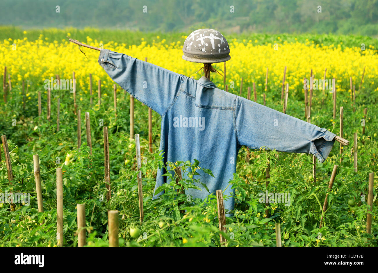 Scarecrow in rural area bangladesh hi-res stock photography and images ...