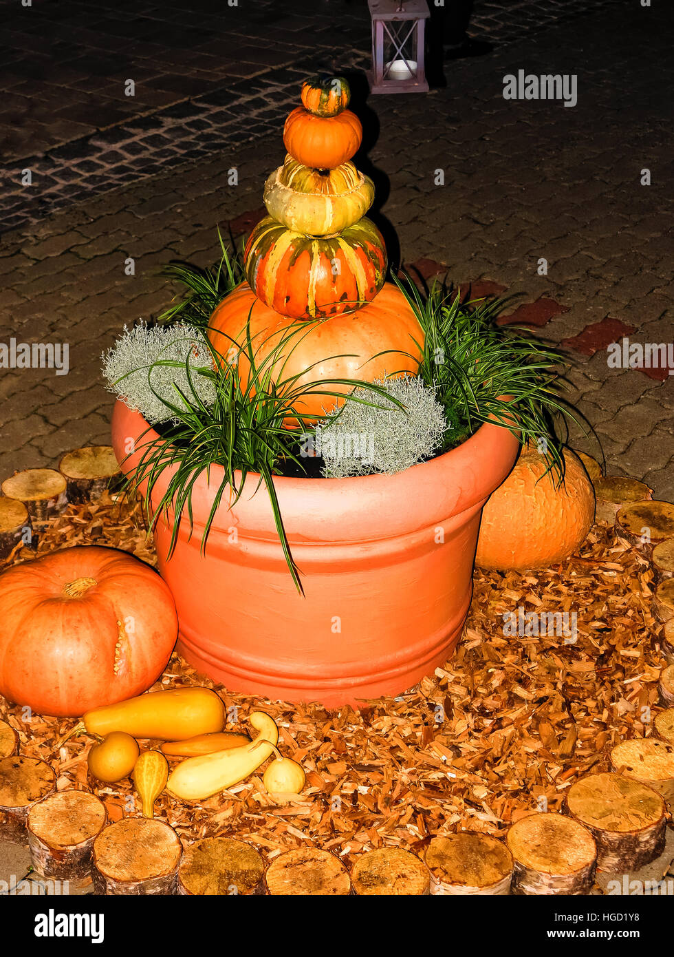 Pyramid pumpkins hi-res stock photography and images - Alamy