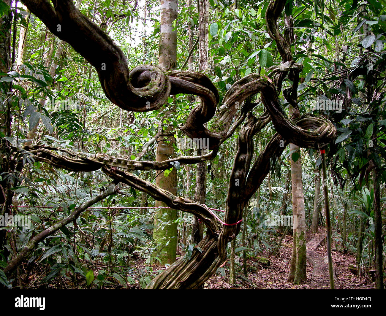 Biodiversity in ocean ecosystems hi-res stock photography and images ...