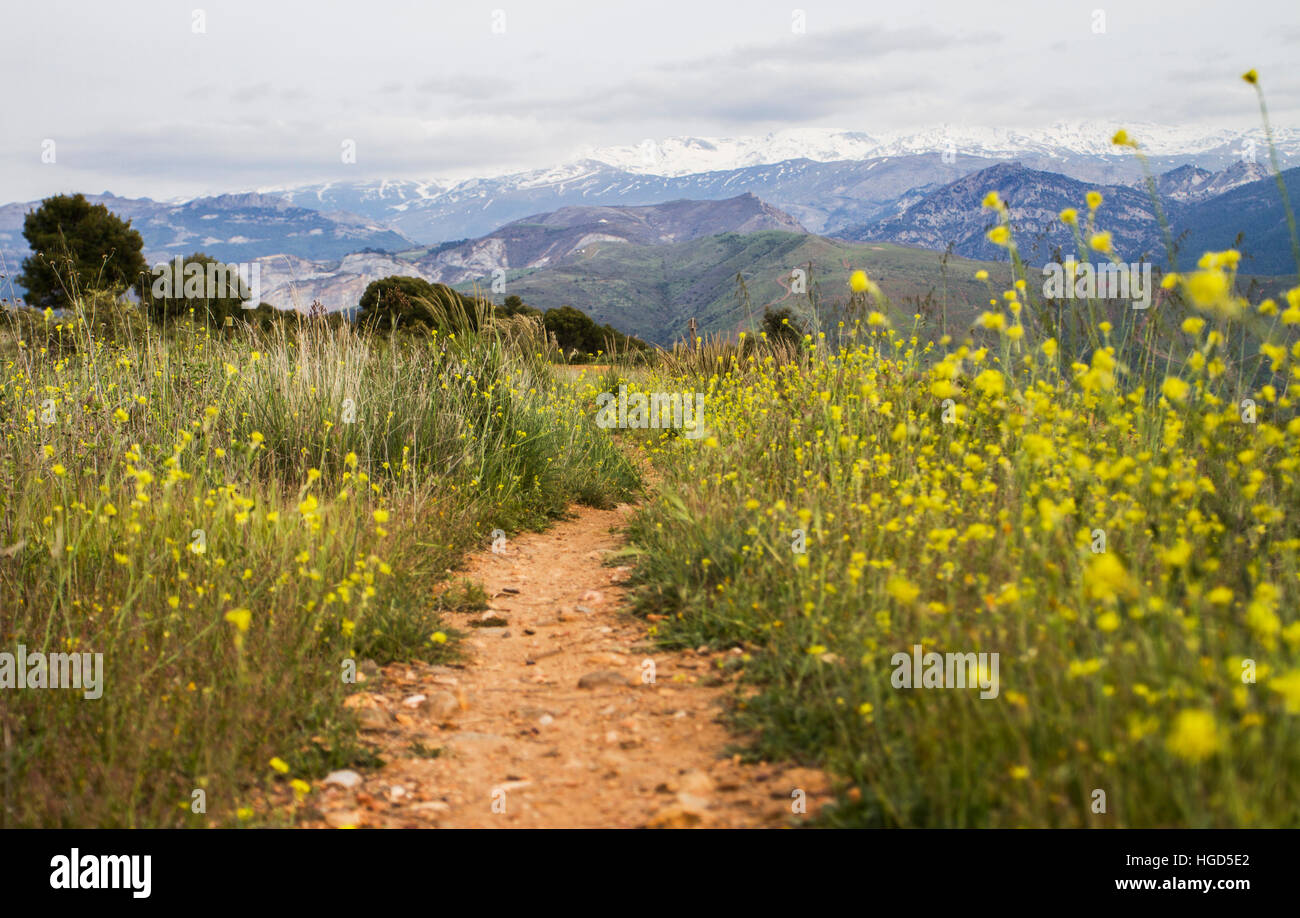 Sierra Nevada mountains in Granada Stock Photo - Alamy
