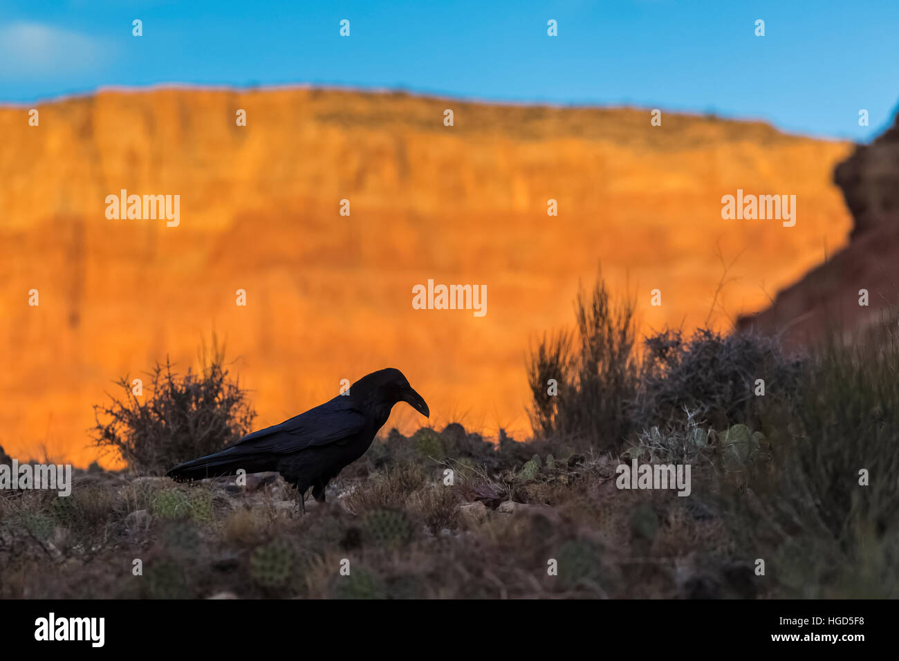 Canyon Ferry Wildlife Management Area Hi Res Stock Photography And