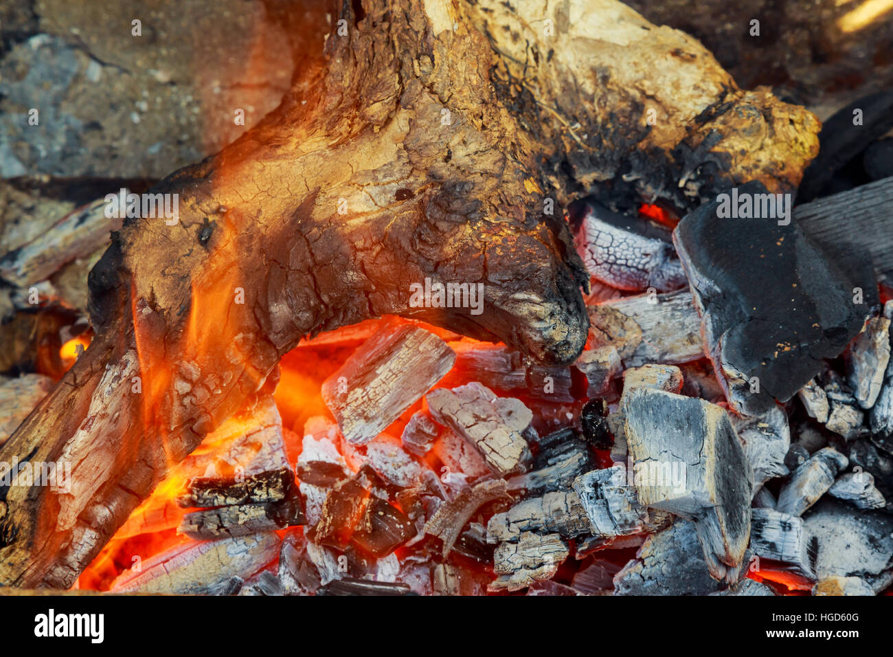 Burning firewood in the fireplace closeup, glowing logs, fire and ...