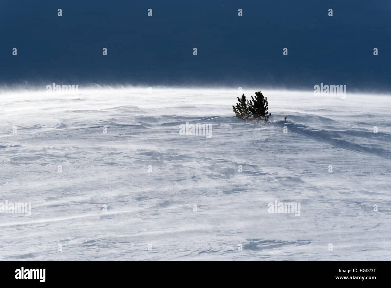 Windblown snow, also known as spindrift, Wallowa Mountains, Oregon ...