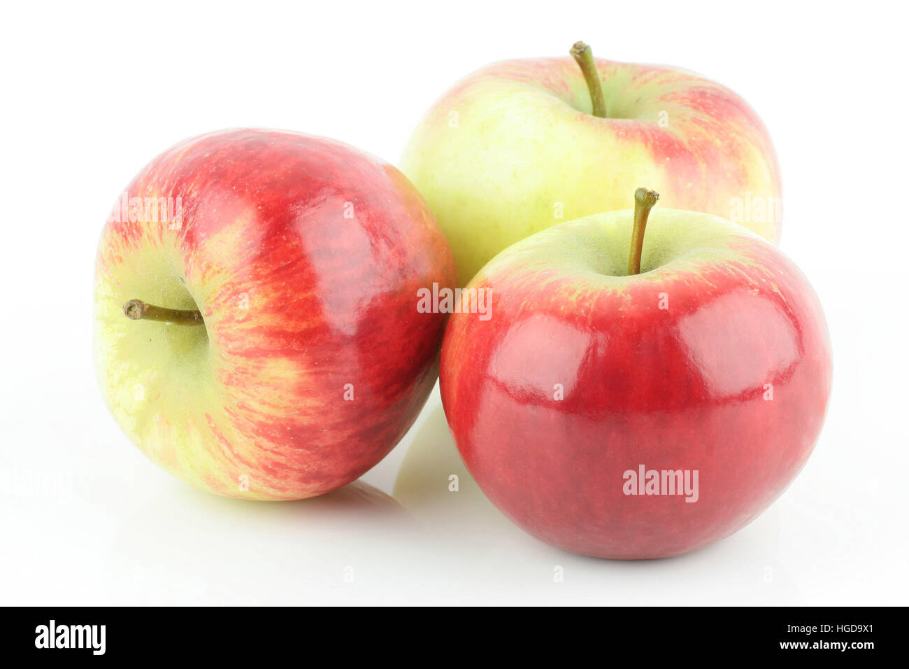 Three shiny fresh red Elstar apple (Malus domestica), on a white ...