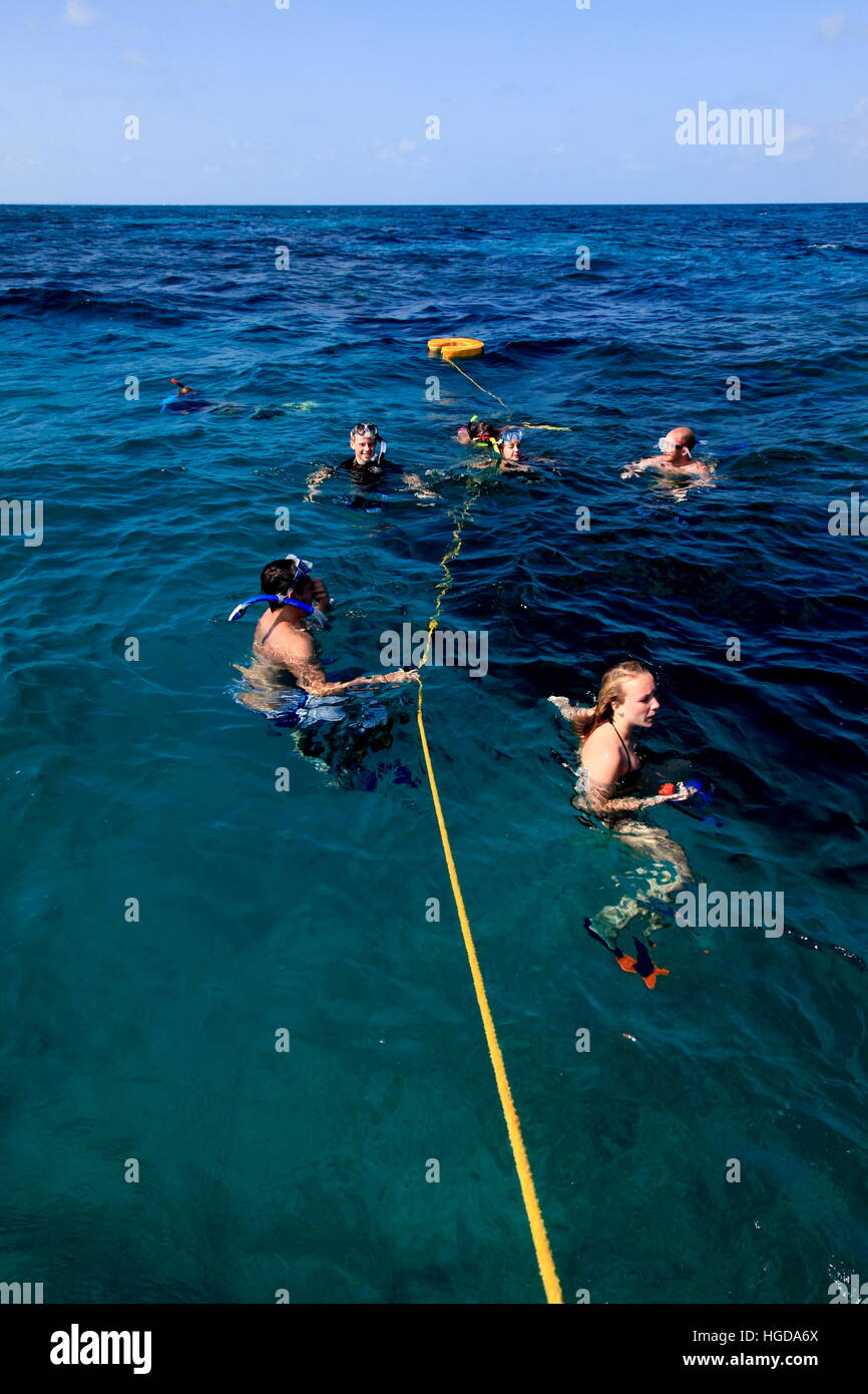 Water Sport, ocean practice Stock Photo - Alamy