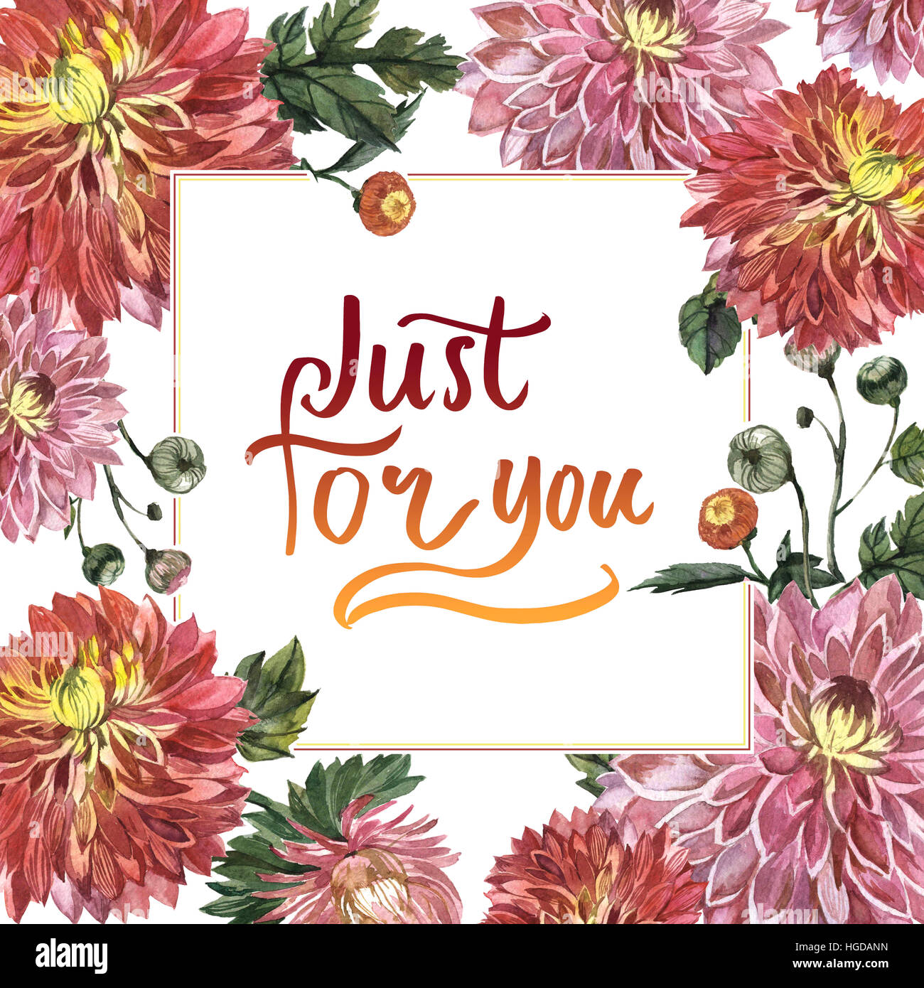 Wildflower aster flower frame in a watercolor style isolated Stock ...