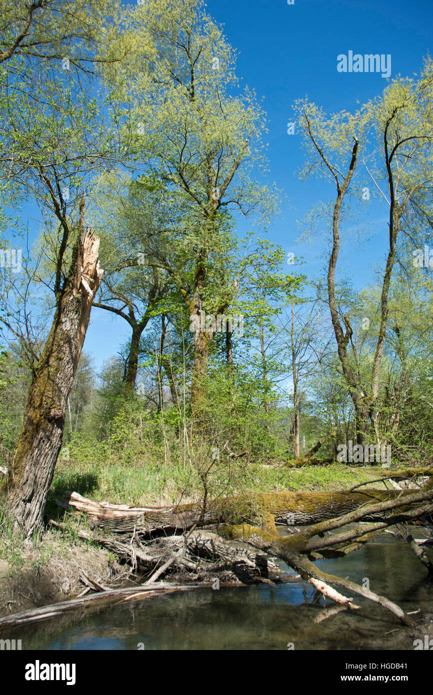 River and meadow hi-res stock photography and images - Alamy