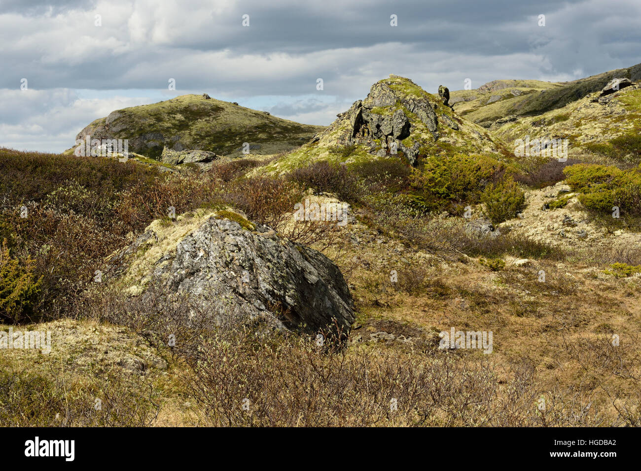 Oppdal Stock Photos & Oppdal Stock Images - Alamy
