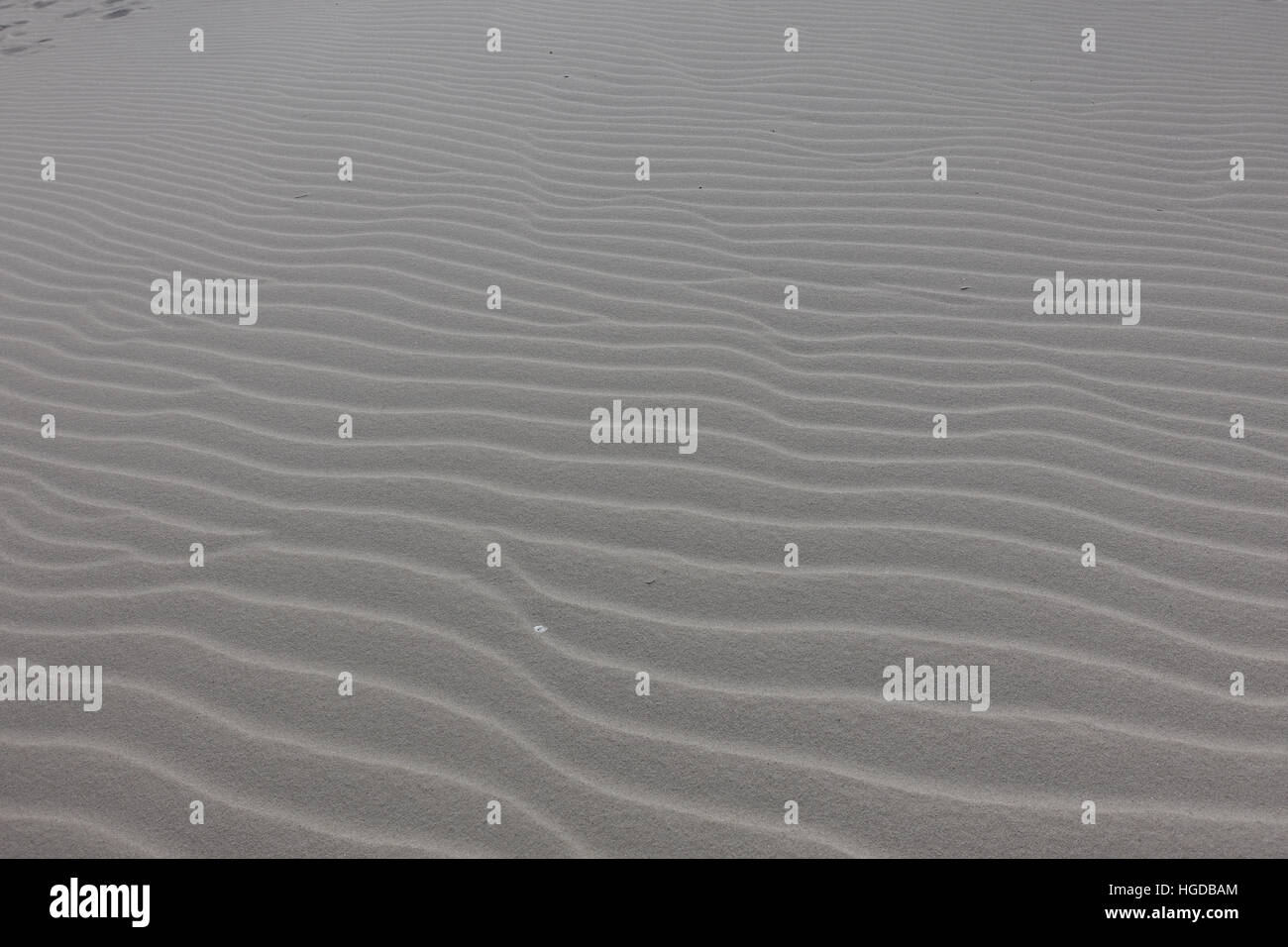 Seashore structure hi-res stock photography and images - Alamy