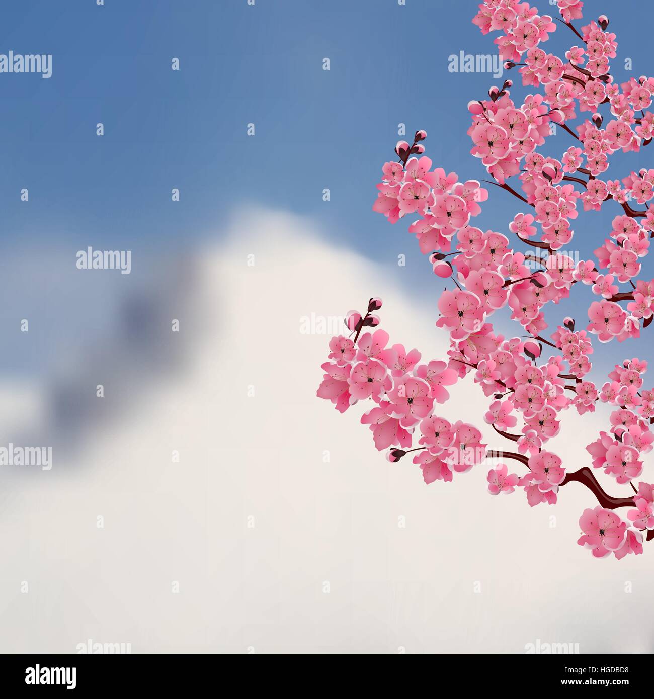 Flowering Japanese cherry. Bush sakura on a background of mountains ...