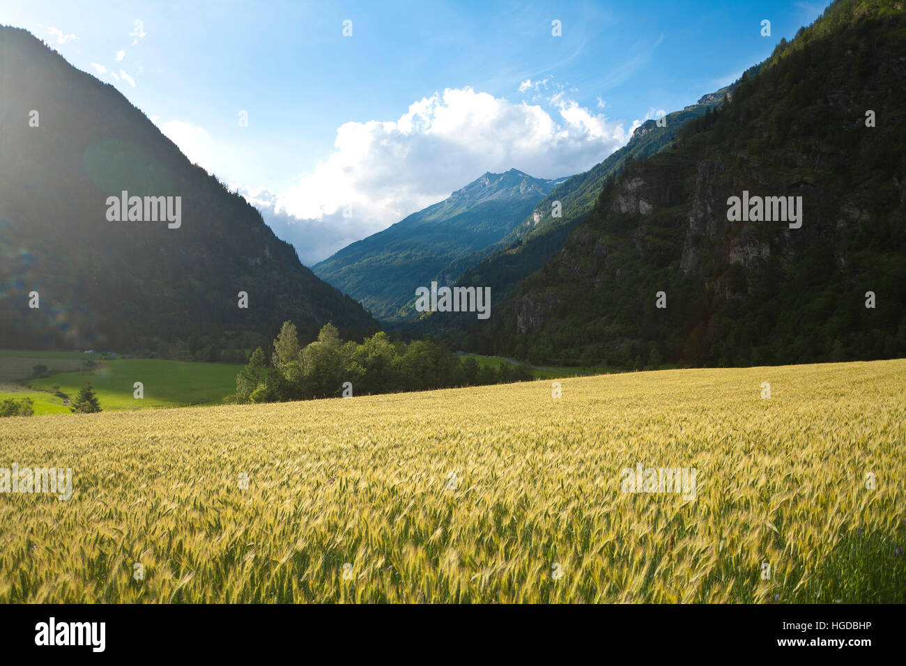 Maltatal valley in Carinthia Stock Photo - Alamy
