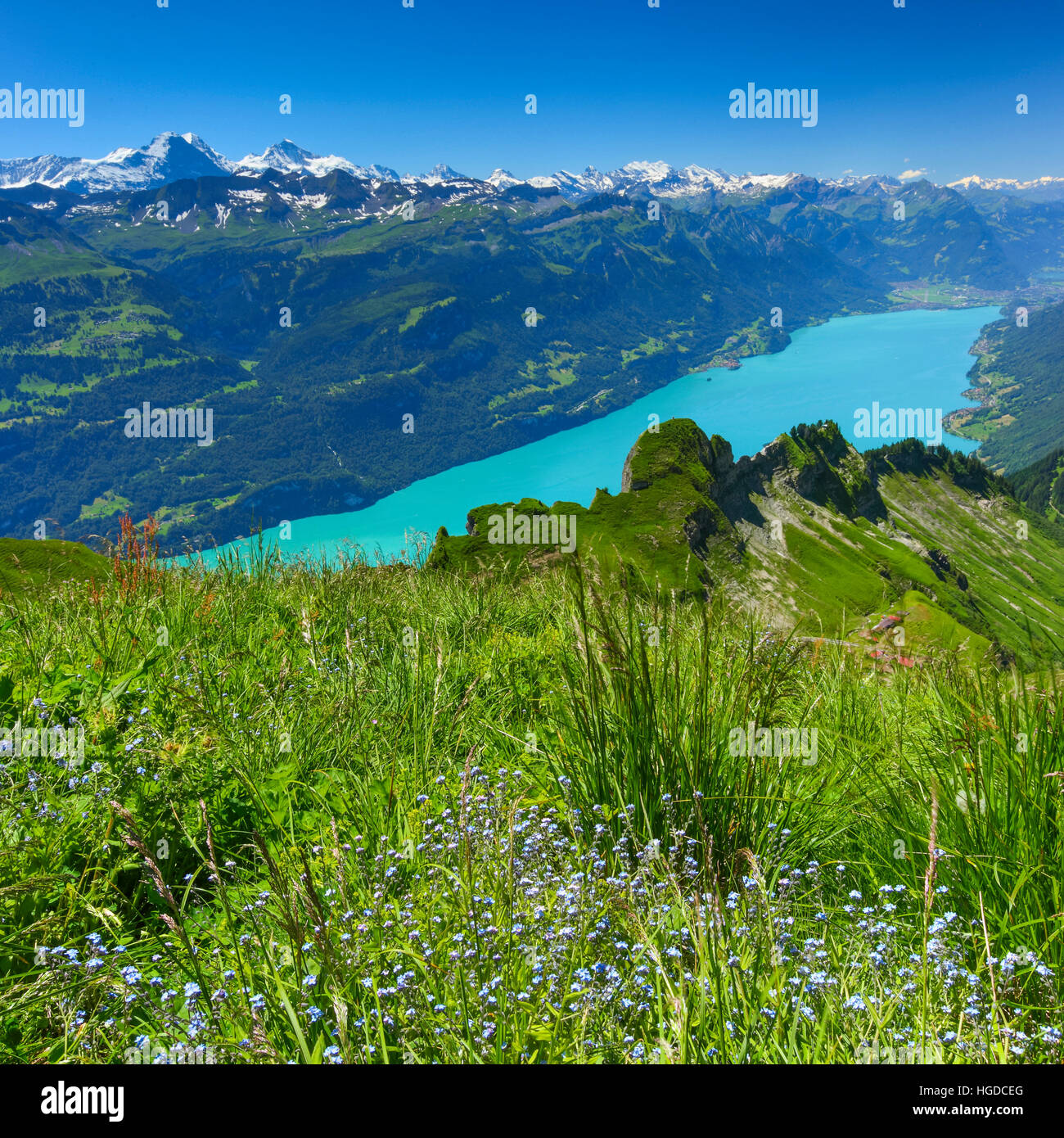 Brienzer Rothorn Mountain High Resolution Stock Photography and Images ...