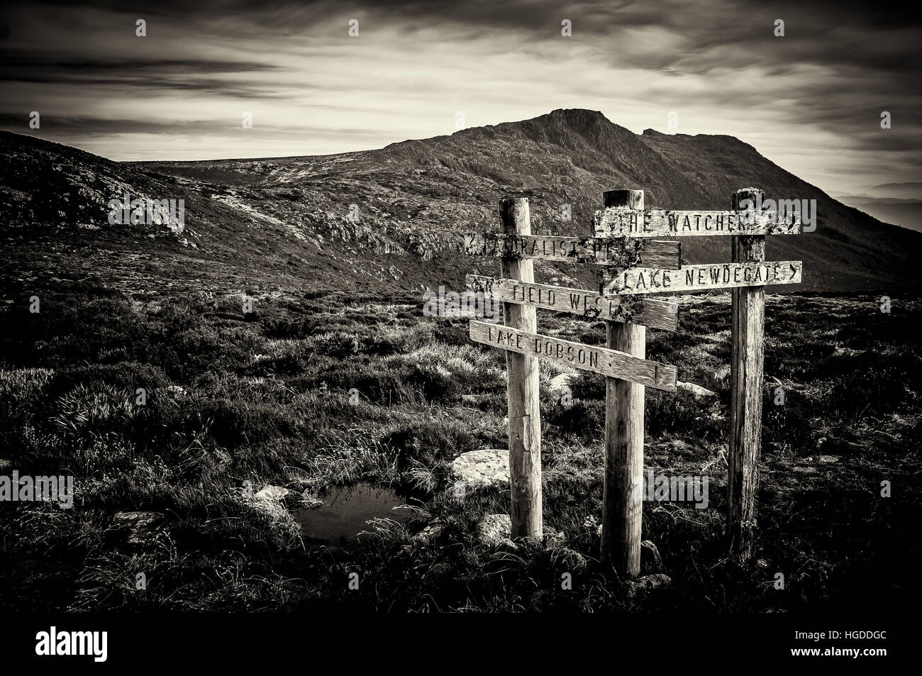 Sign Posts at Mt Field, Tasmania, Australia Stock Photo - Alamy