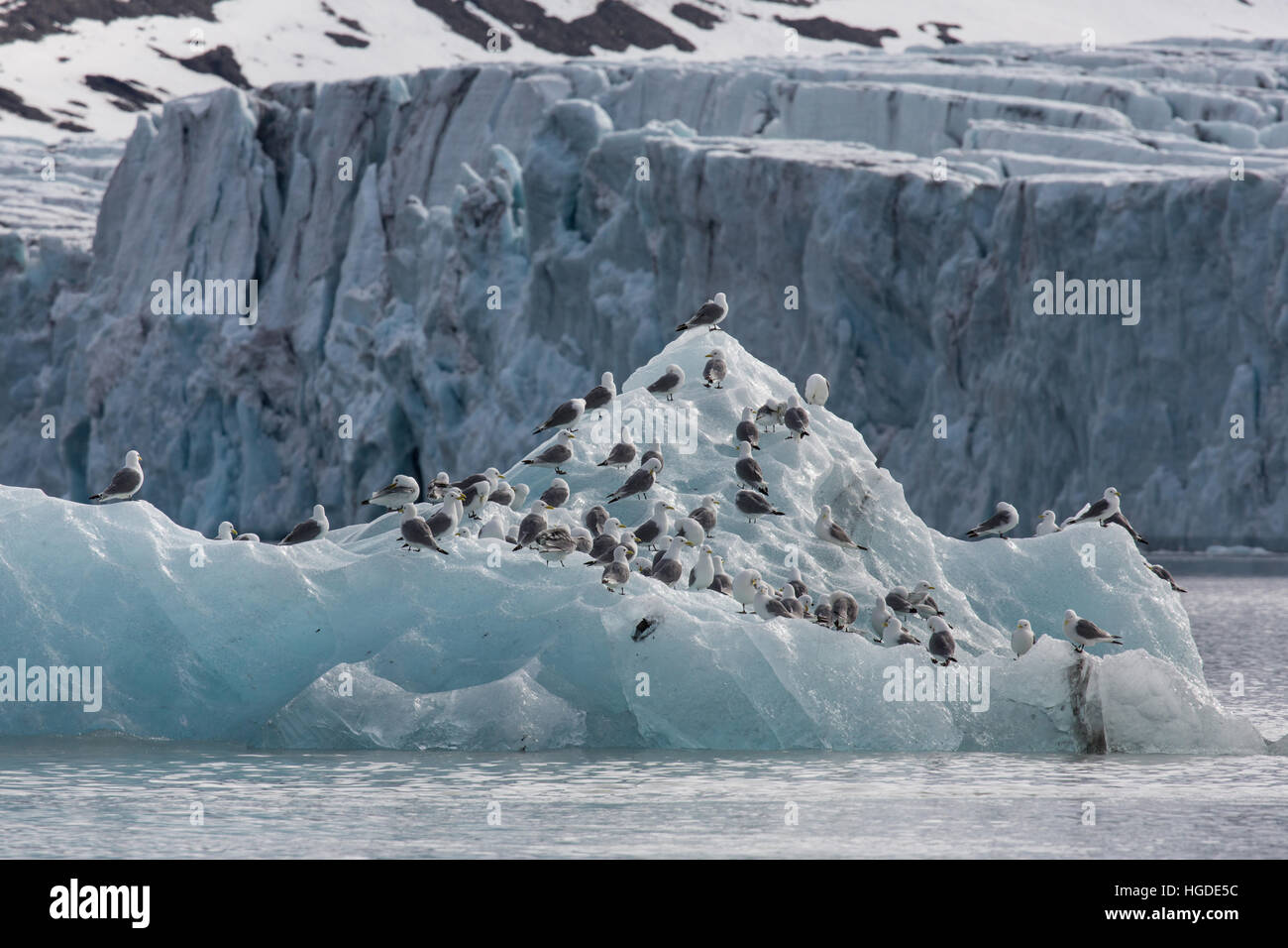 Spitsbergen, Svalbard, glacier, Hornsund Stock Photo - Alamy