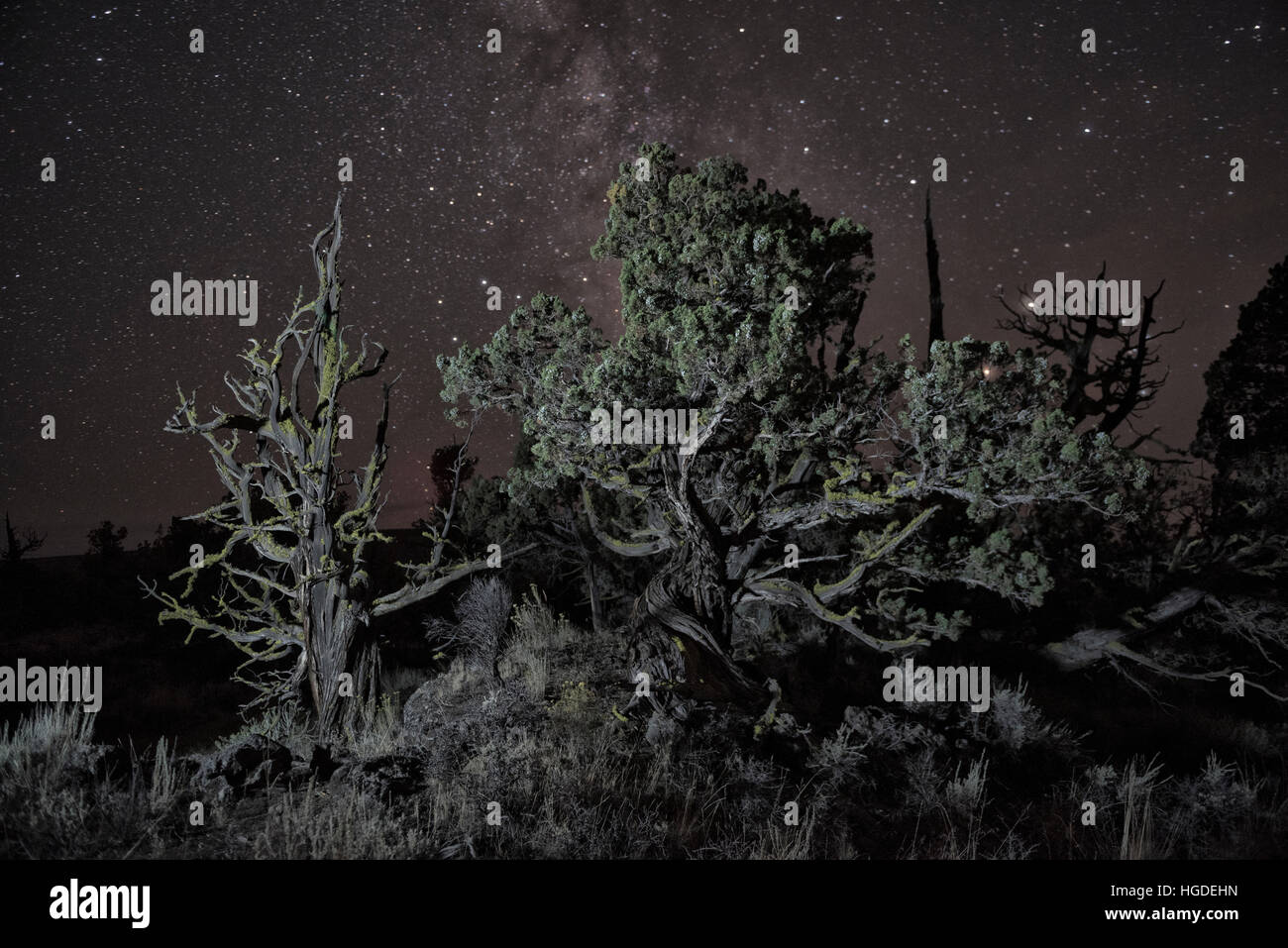 Ancient wilderness hi-res stock photography and images - Alamy