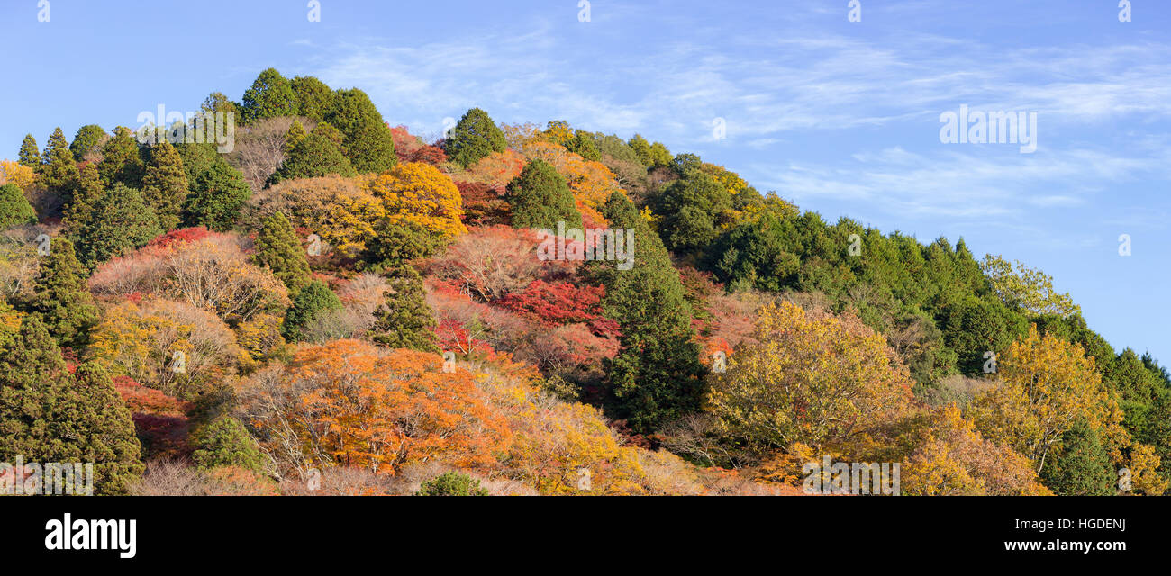 Korankei nagoya hi-res stock photography and images - Alamy