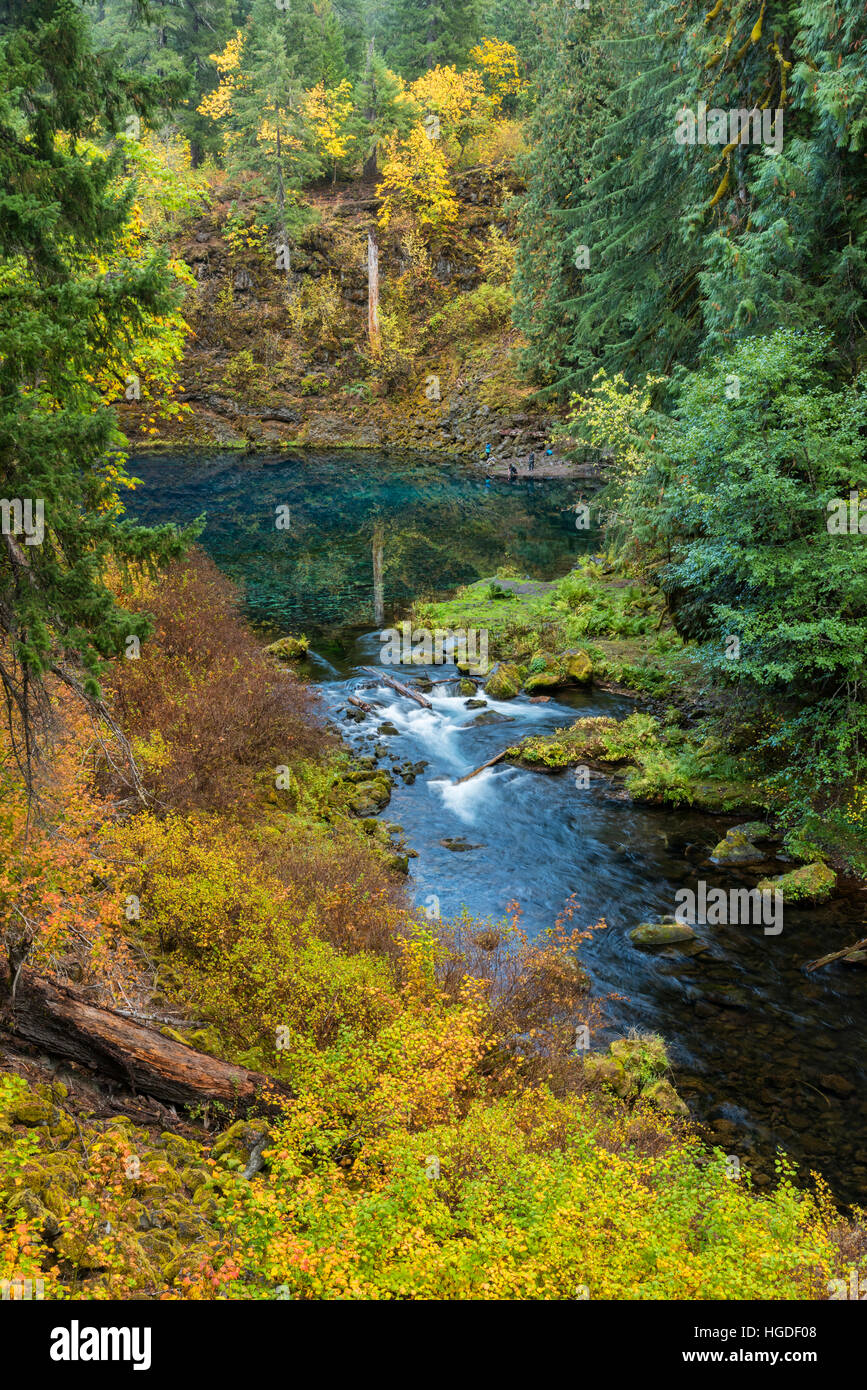 Willamette national forest hi-res stock photography and images - Alamy