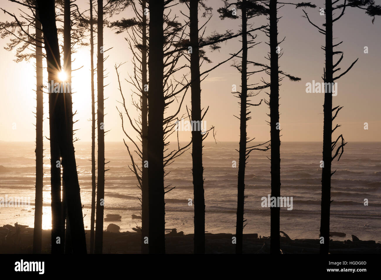 Ruby beach washington hi-res stock photography and images - Alamy