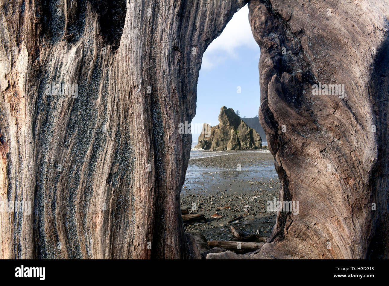 WA11950-00...WASHINGTON - Drift wood and seastacks at Ruby Beach in ...
