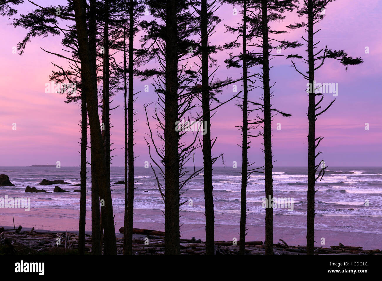 WA11951-00...WASHINGTON - Sunrise at Ruby Beach in Olympic National ...