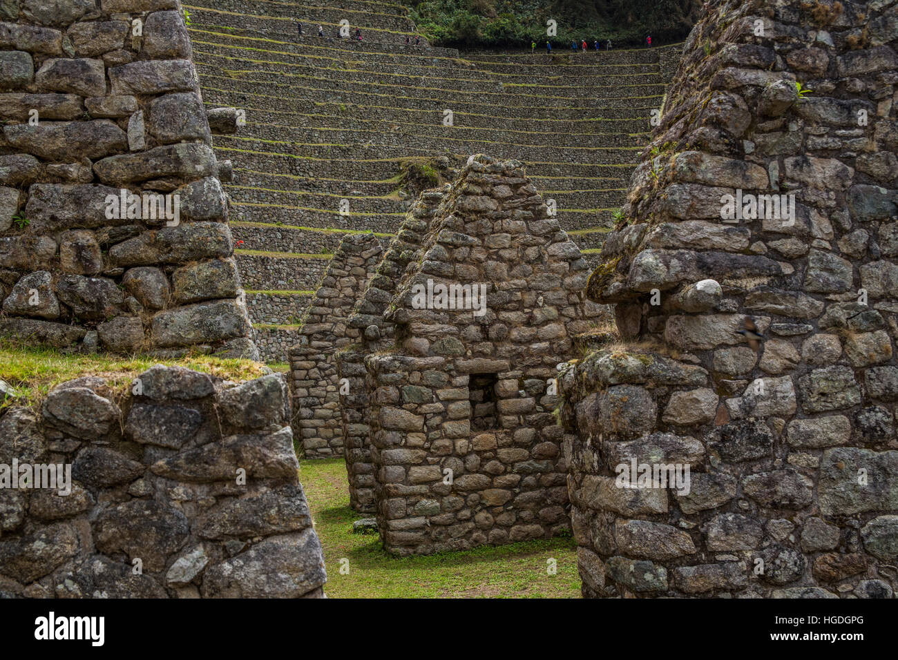 Winaywayna peru hi-res stock photography and images - Alamy