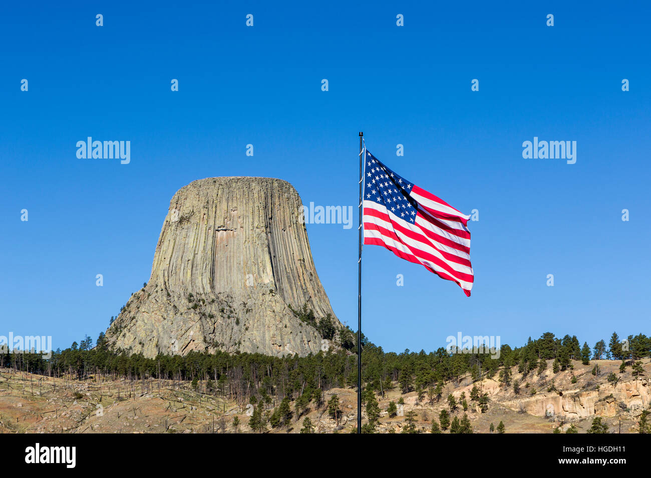 WY02278-00...WYOMING - American flag and Devils Tower, viewed fron the ...