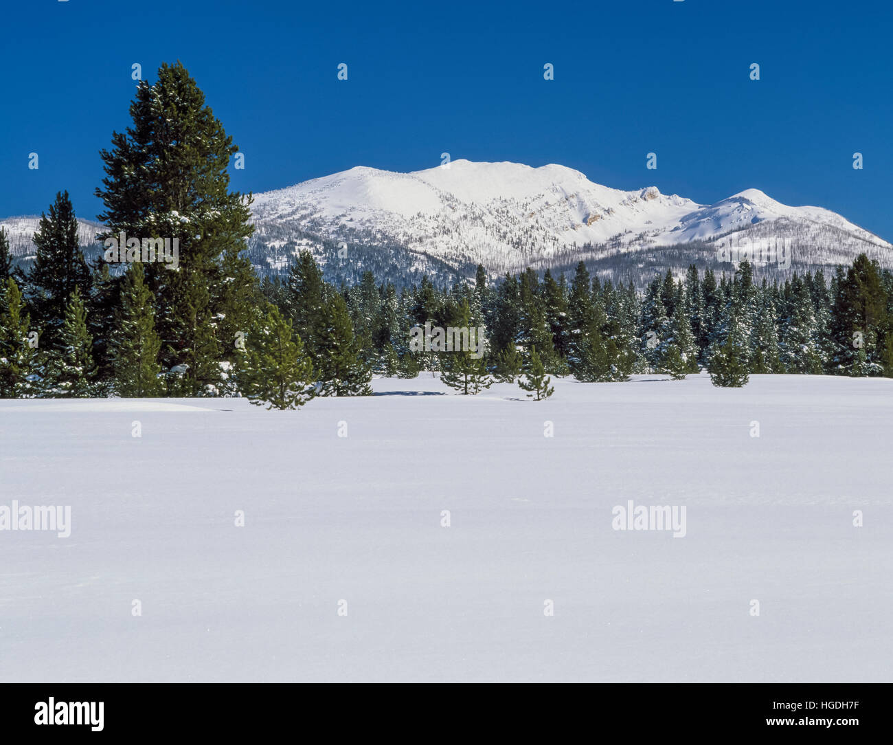winter snow in valley below the gallatin range of yellowstone national ...