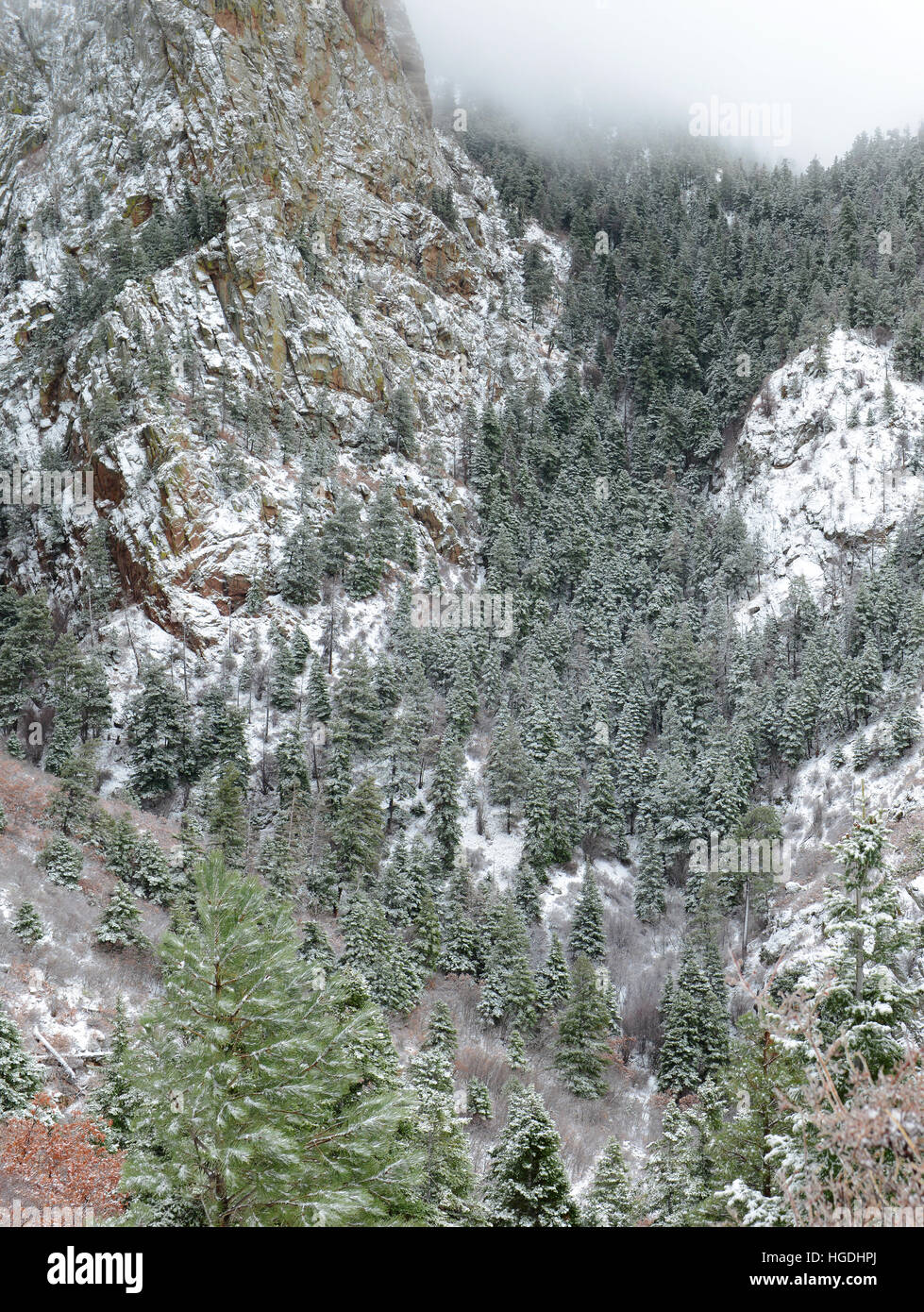 Vibrant colors of Alpine forest landscape with snow, Sandia Mountains ...