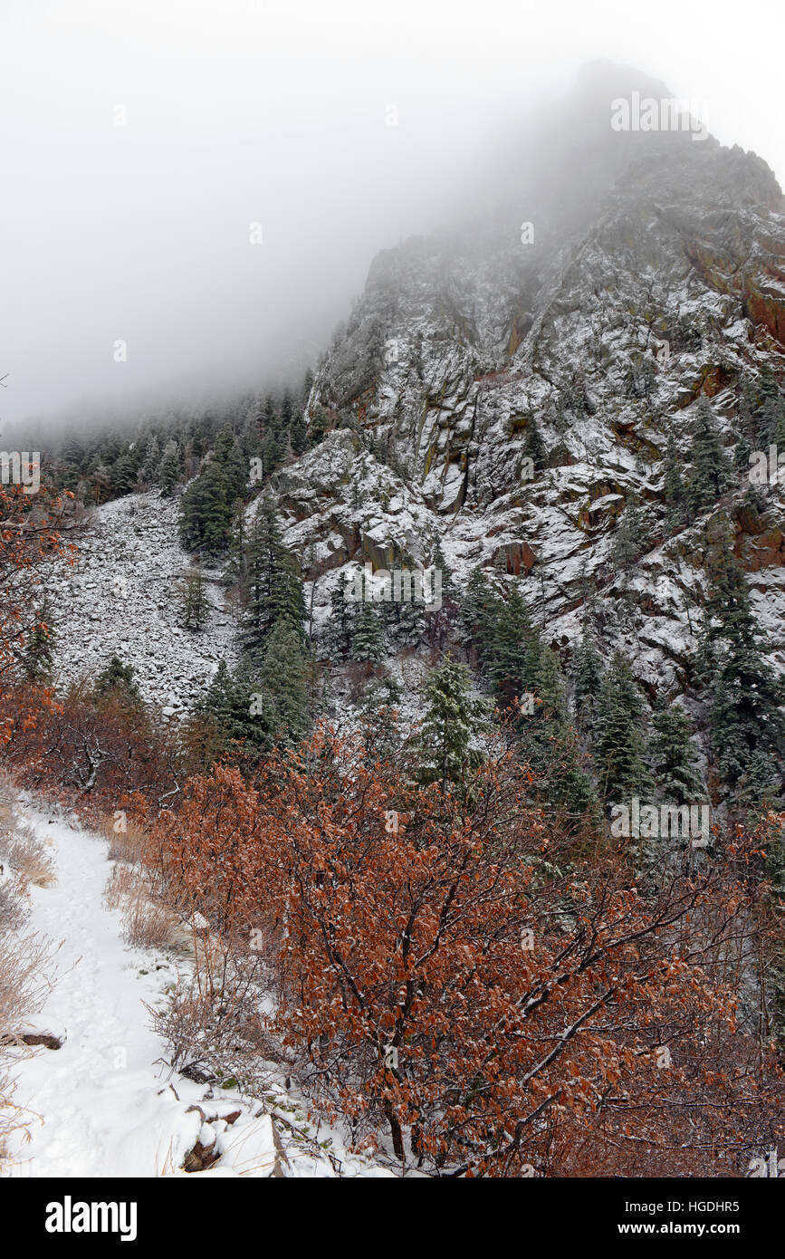 Vibrant colors of Alpine forest landscape with snow, Sandia Mountains ...