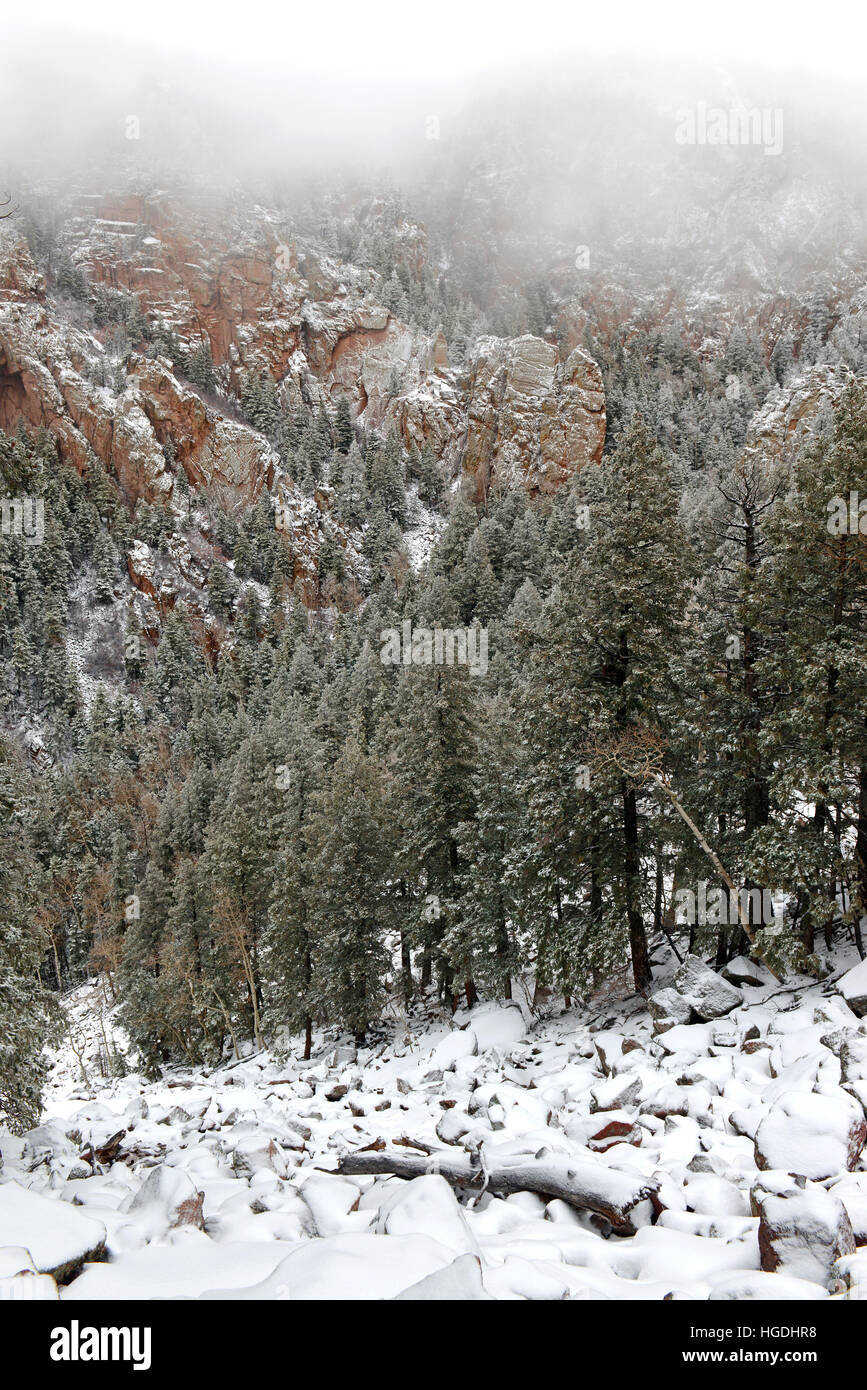 Vibrant colors of Alpine forest landscape with snow, Sandia Mountains ...