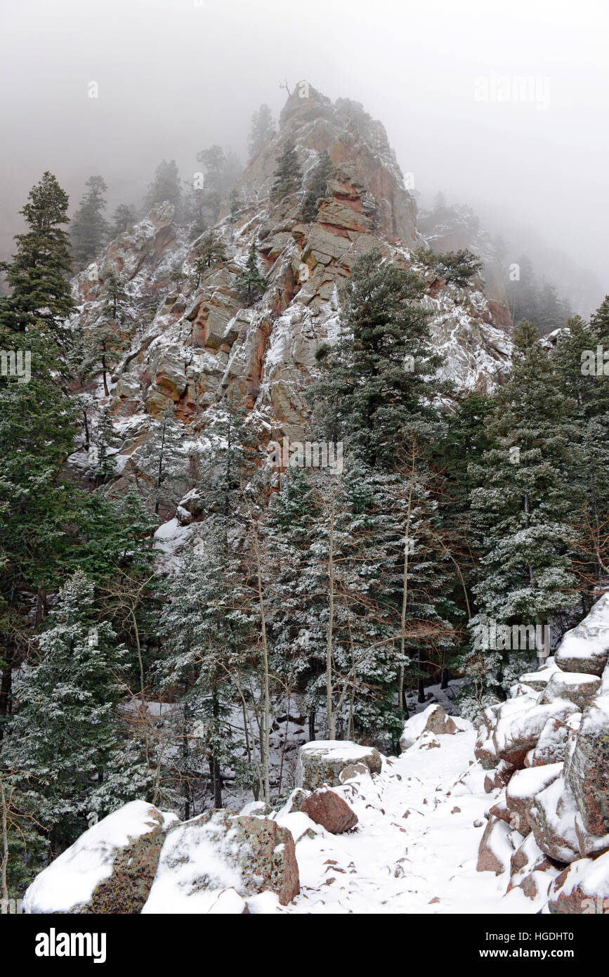 Vibrant colors of Alpine forest landscape with snow, Sandia Mountains ...
