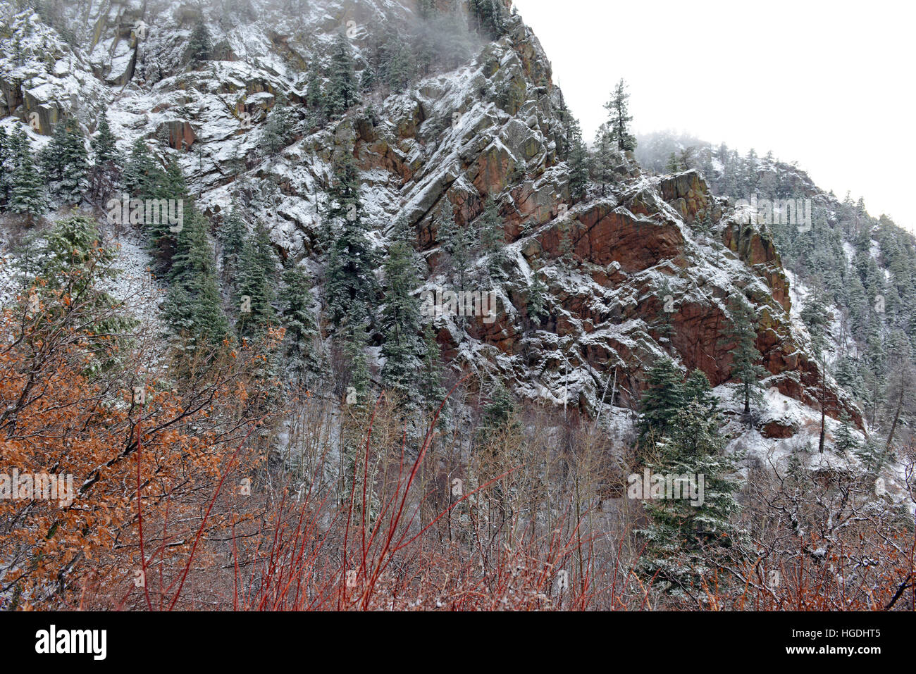 Vibrant colors of Alpine forest landscape with snow, Sandia Mountains ...