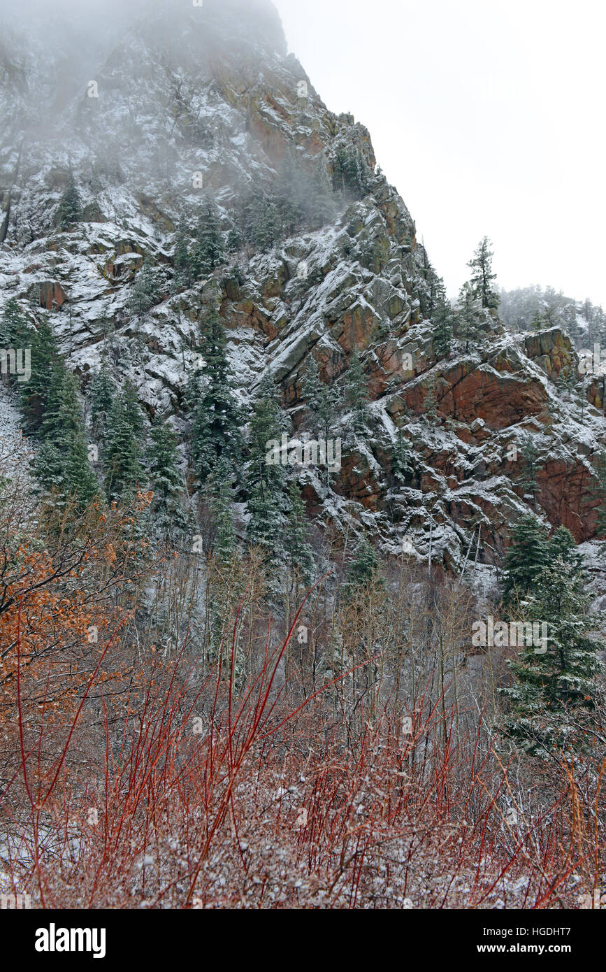 Vibrant colors of Alpine forest landscape with snow, Sandia Mountains ...