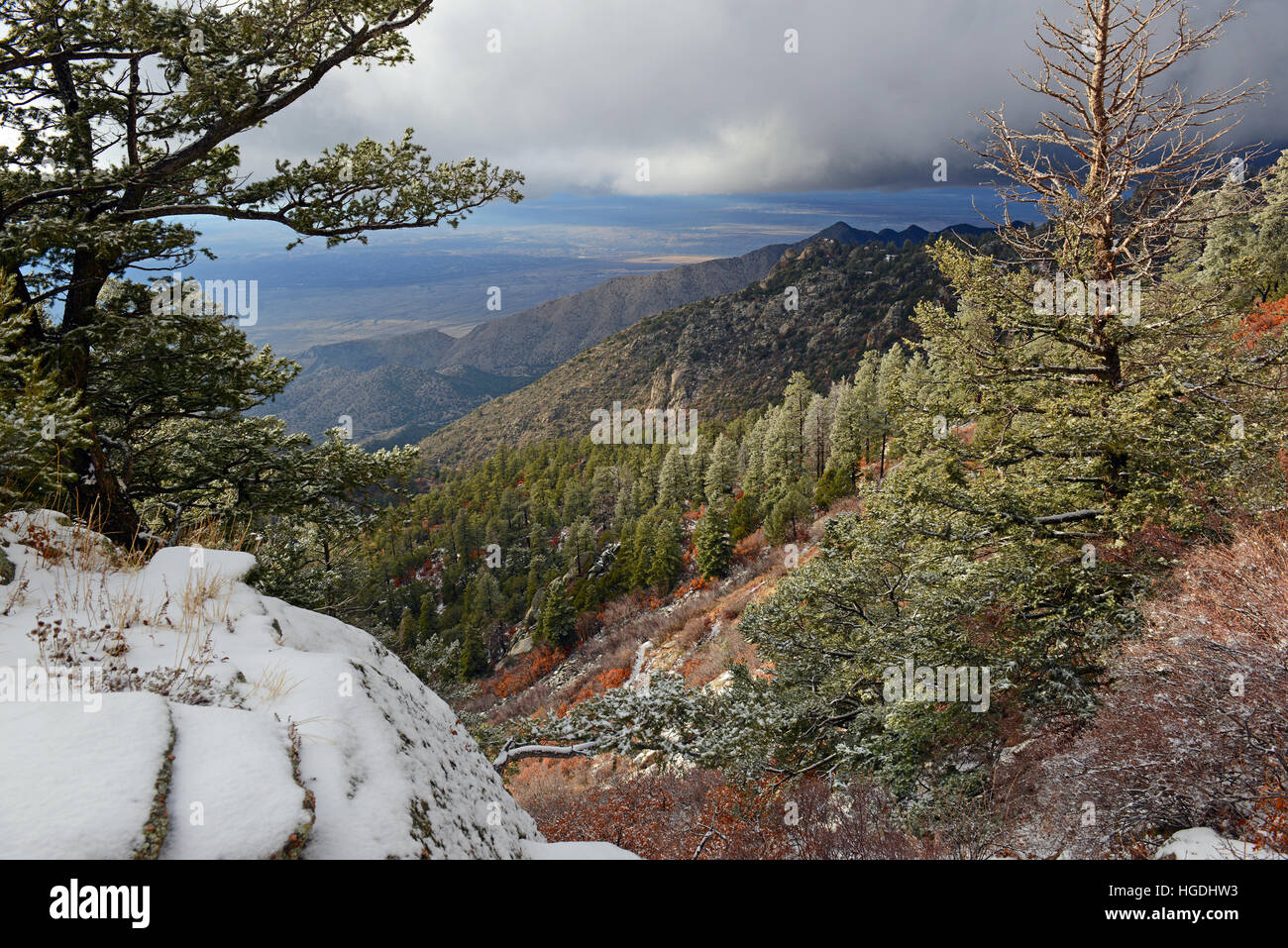 Vibrant colors of Alpine forest landscape with snow, Sandia Mountains ...