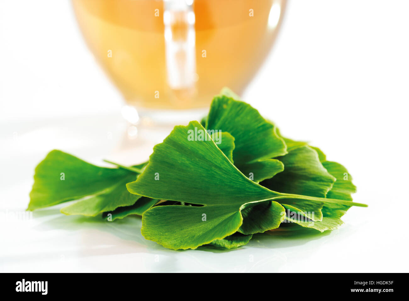 Ginkgo leaves (Ginkgo biloba) with a blurred tea cup in the background ...