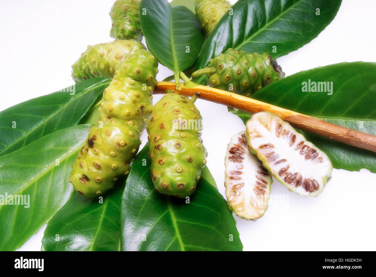 Fresh noni fruit Stock Photo - Alamy