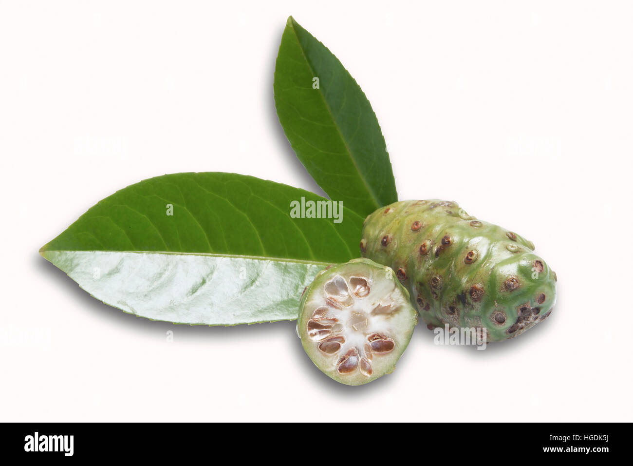Fresh noni fruit Stock Photo - Alamy