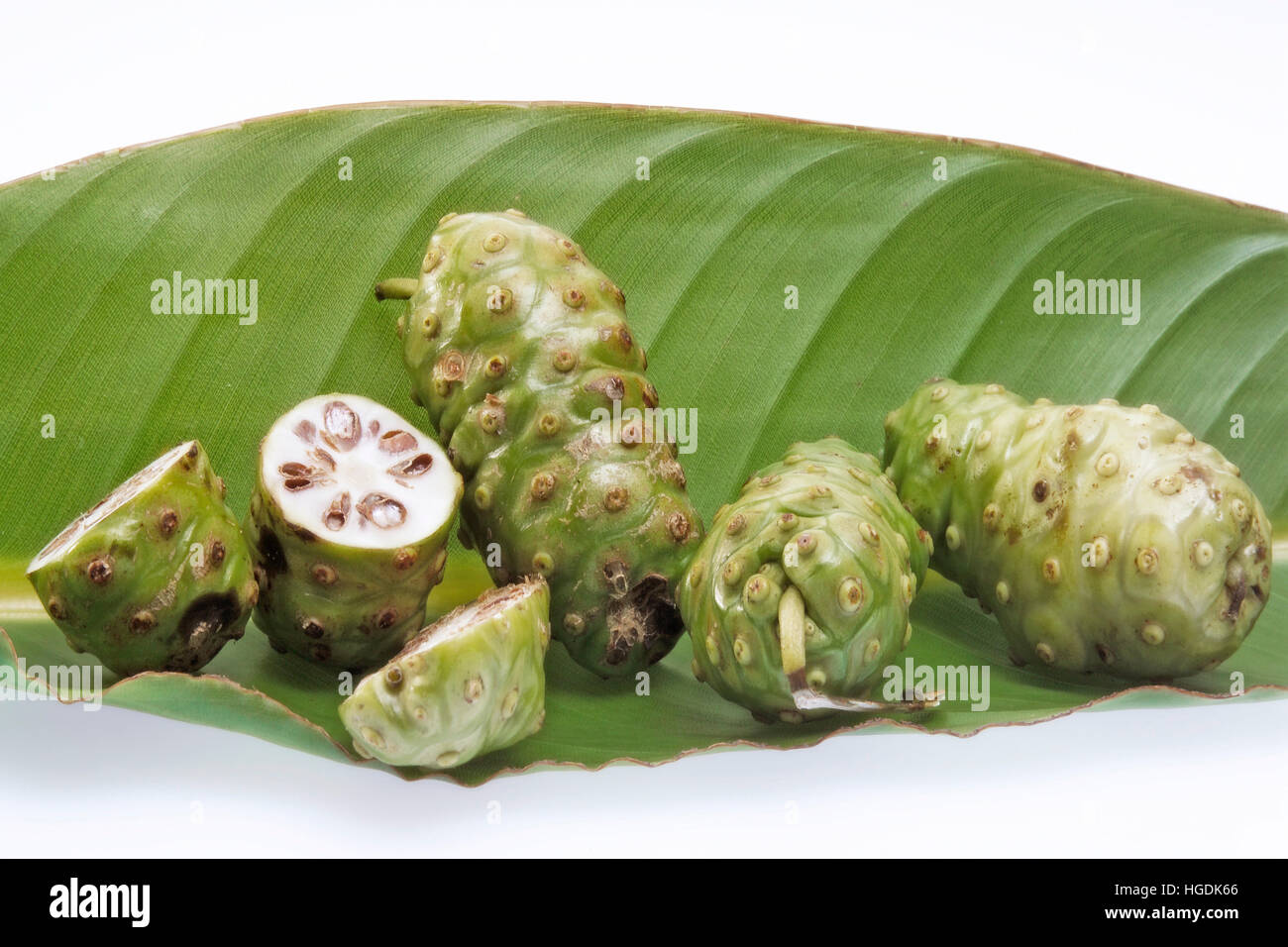 Fresh noni fruit Stock Photo - Alamy