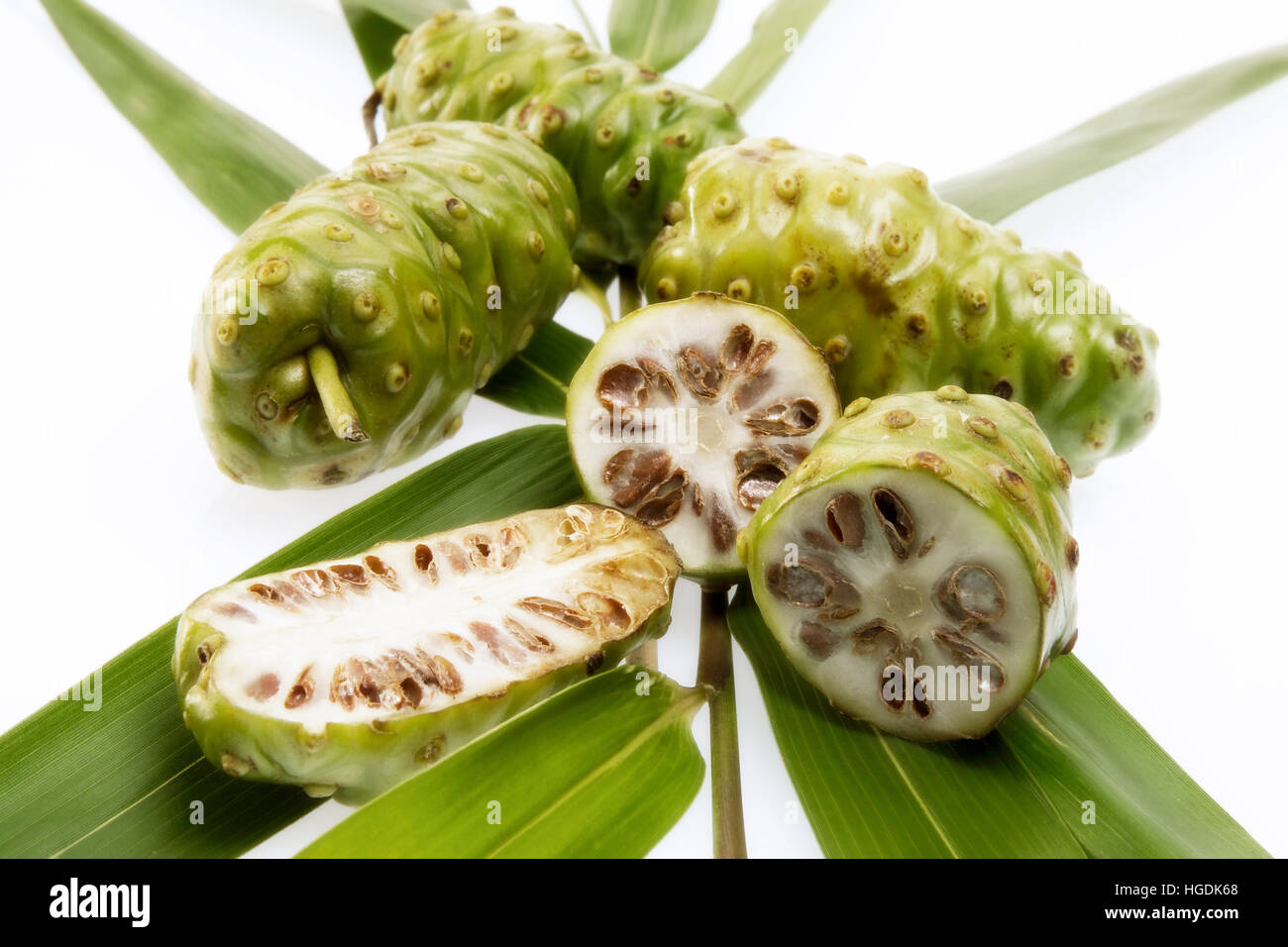 Nonis morinda citrifolia hi-res stock photography and images - Alamy